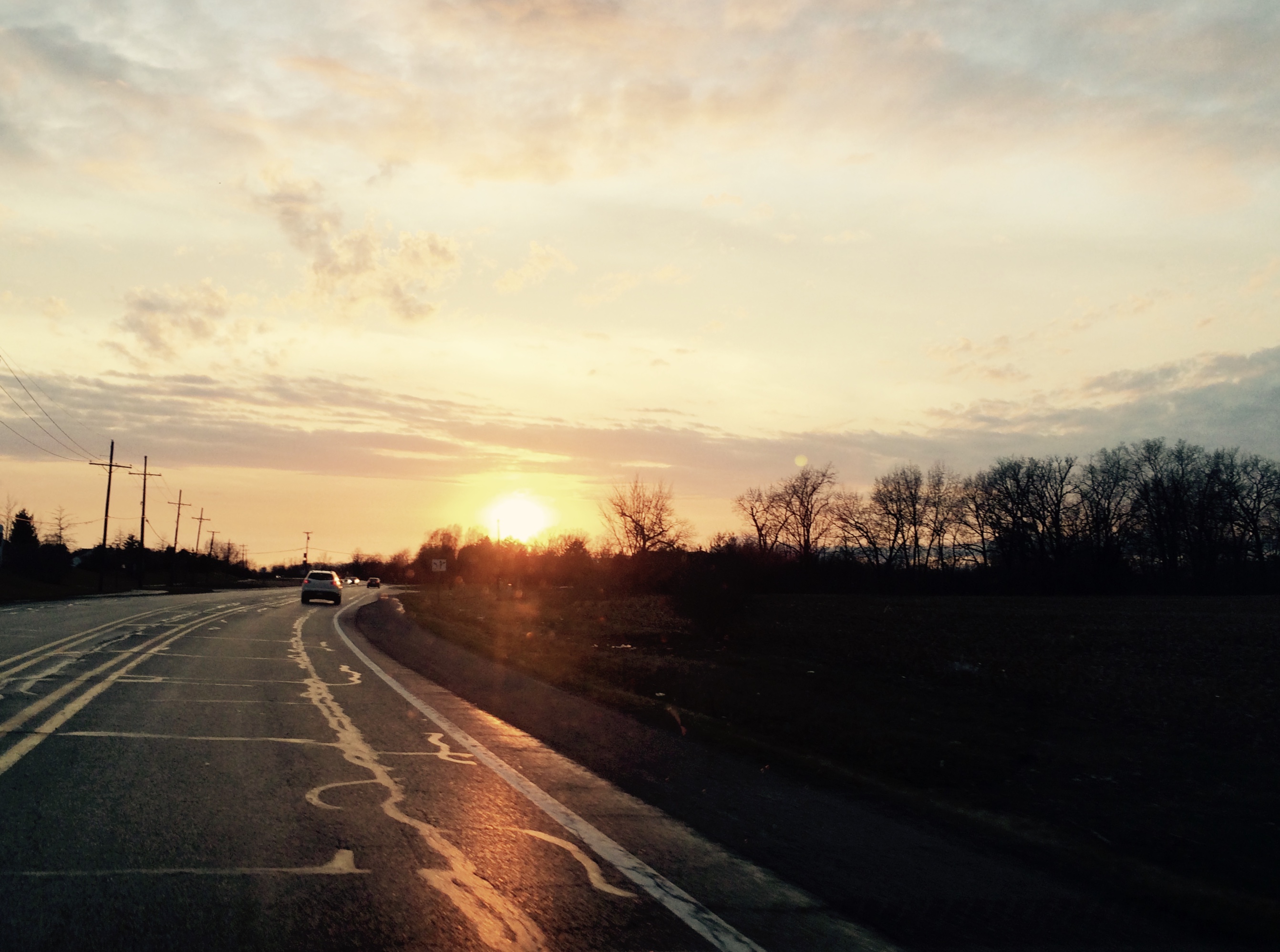 The Narrow Road – Through the Stillness